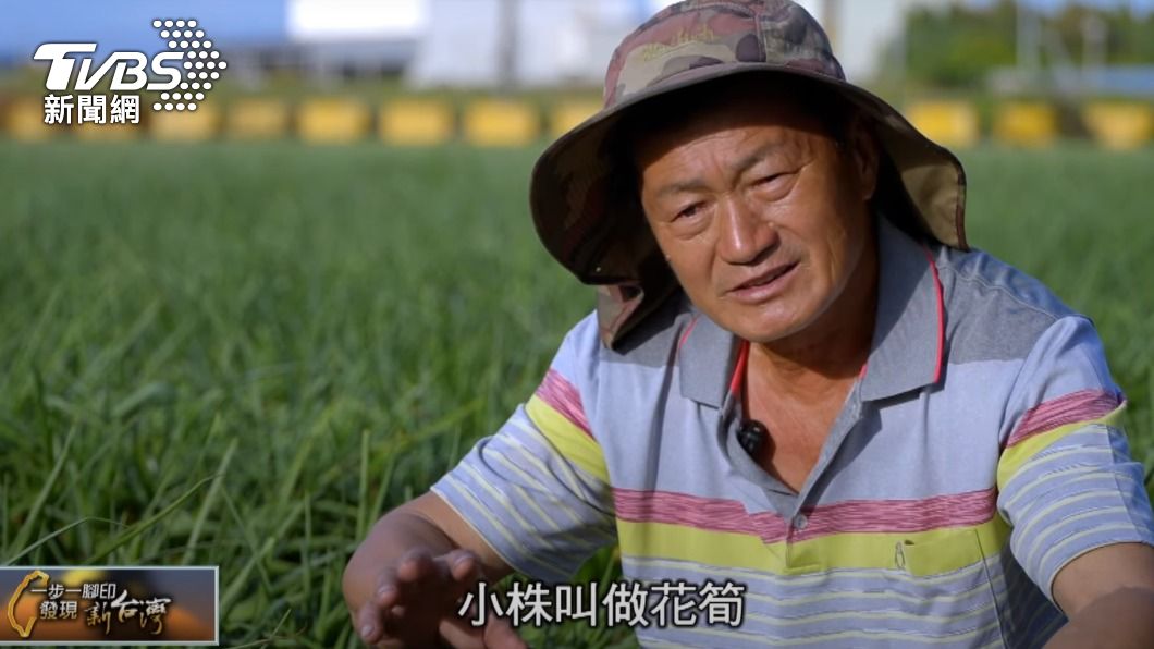 《一步一腳印》夜來香也可以吃！？虎尾班長的絕處逢生晚香玉筍│TVBS新聞網