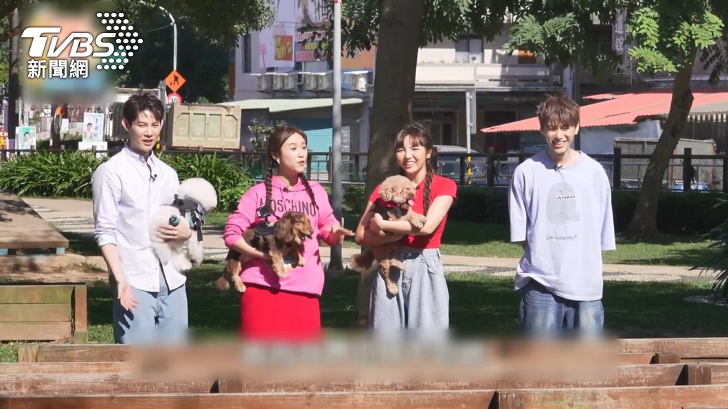 《萌寵明星粗乃玩》第一屆運動會！ Sandy帶呵喜緊張「快生了」│TVBS新聞網