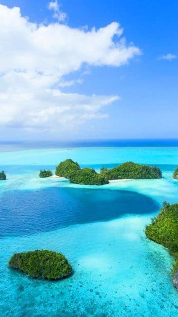 來這爽玩「每人現領3000」！吳淡如失心瘋衝了：努力貢獻│現領3千│一人3000│每人3000│TVBS新聞網