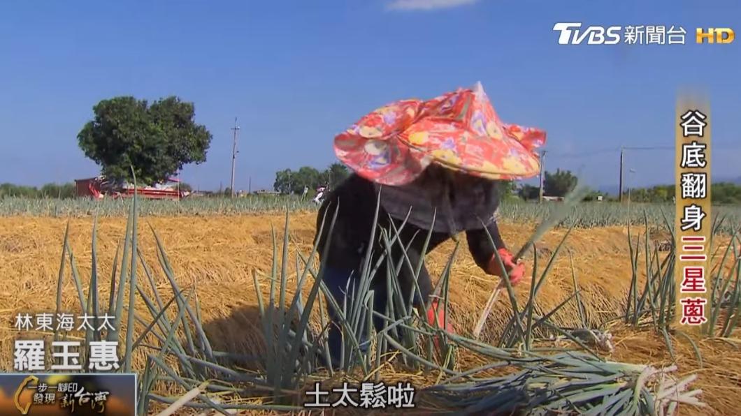 《一步一腳印》921後餐廳收掉 夫妻靠種三星蔥翻身再起│TVBS新聞網