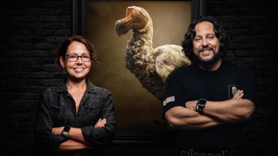 17世紀絕種「渡渡鳥」有望復活 標本取到古代DNA定序│TVBS新聞網