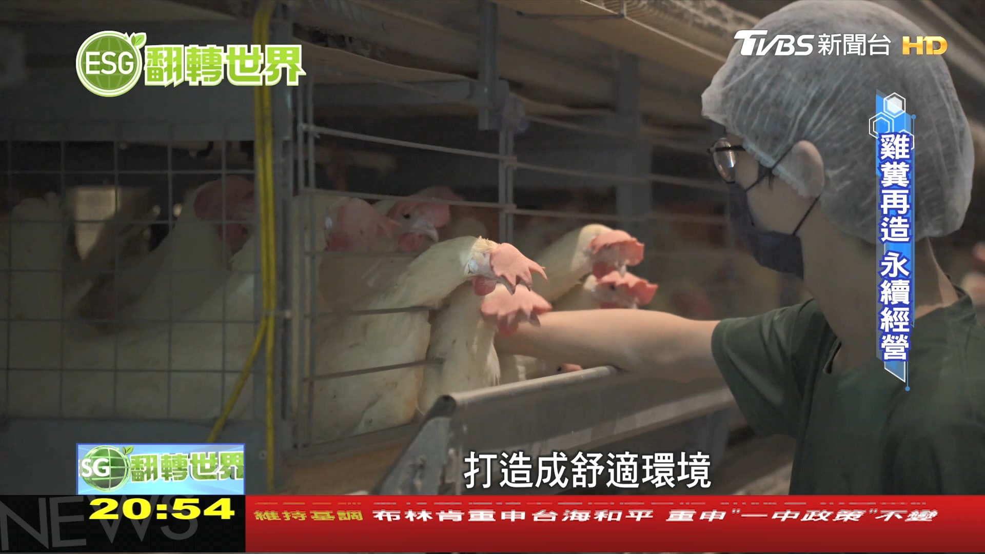 轉型！乳牛場、蛋雞場科技經營 添增產業競爭力│TVBS新聞網