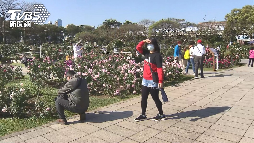 春天到！明24節氣「驚蟄」 800種玫瑰花博齊盛開│TVBS新聞網