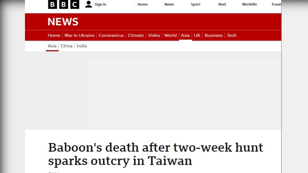 狒狒之死登《BBC》《韓聯社》 韓網友見官員鞠躬好傻眼│TVBS新聞網