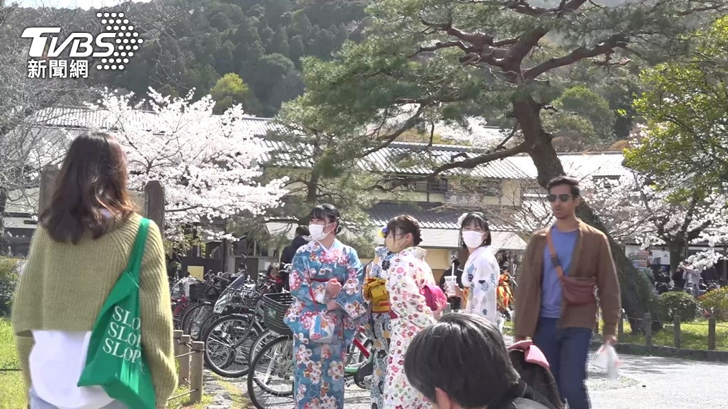遊客瘋追櫻花季湧日本！近日入境 旅客排等5HR│觀光│機票│TVBS新聞網