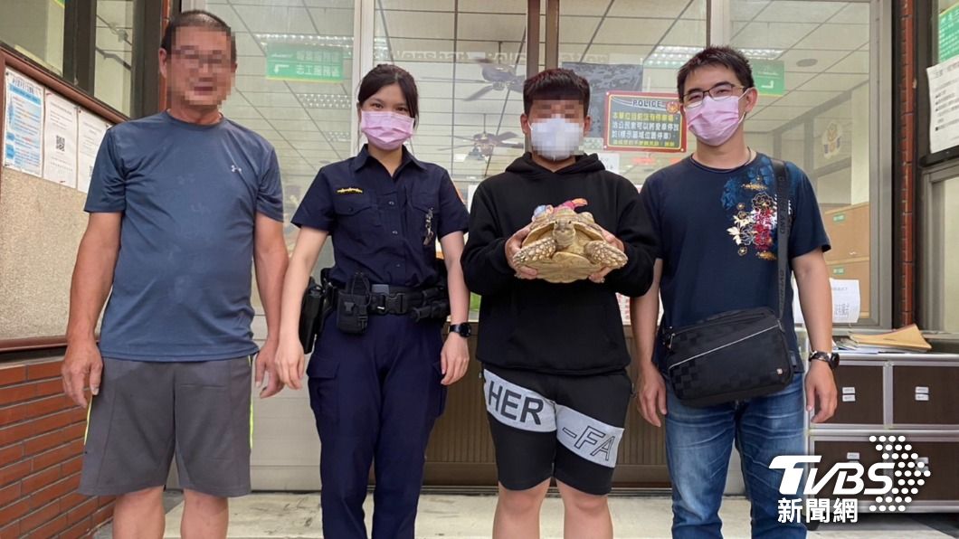 蘇卡達象龜散步開溜 阿伯撿回家「因一舉動」免責│TVBS新聞網