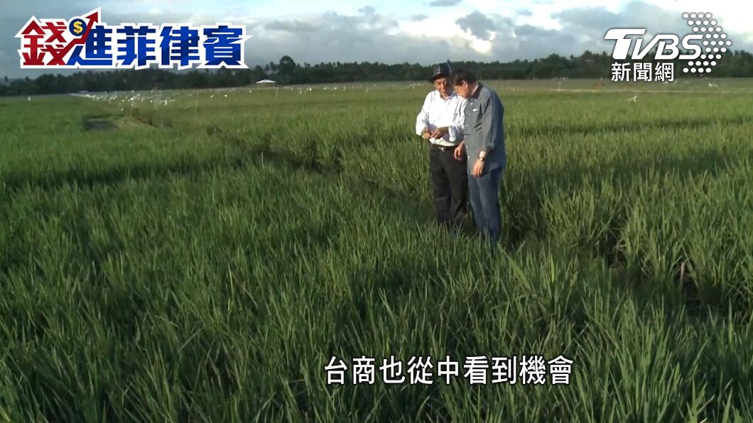 蔬果靠進口、豬肉飆天價！菲律賓糧食安全難題 台灣技術卡位利基？│TVBS新聞網