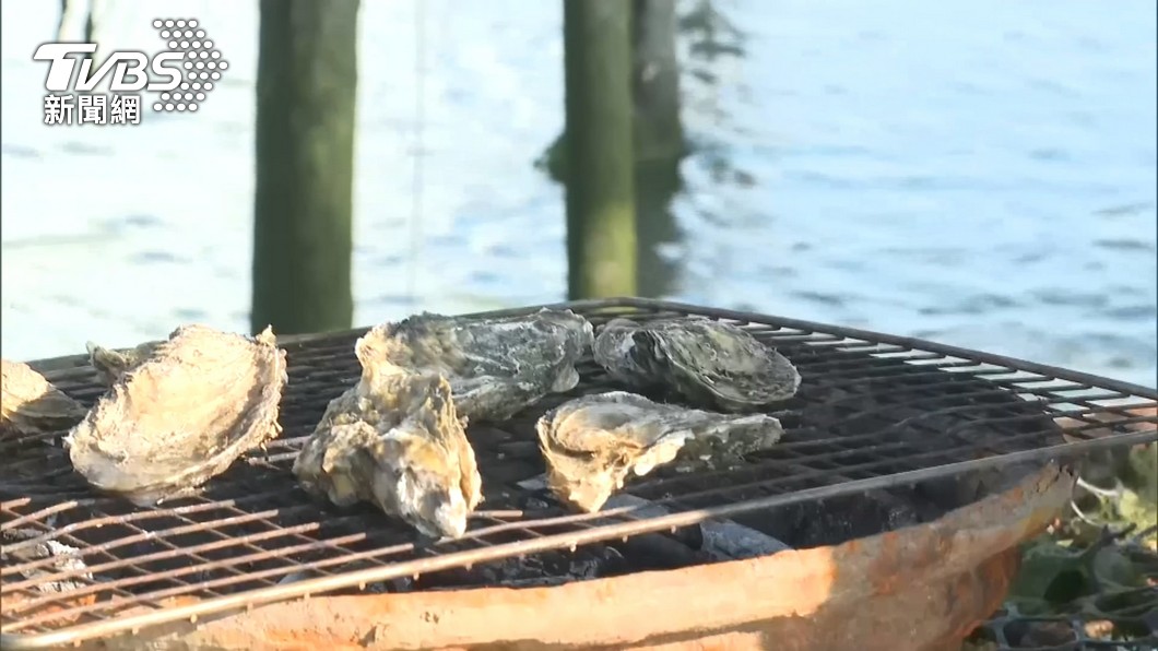 恐怖「綠地毯」 逾300位蚵農家計受影響│TVBS新聞網