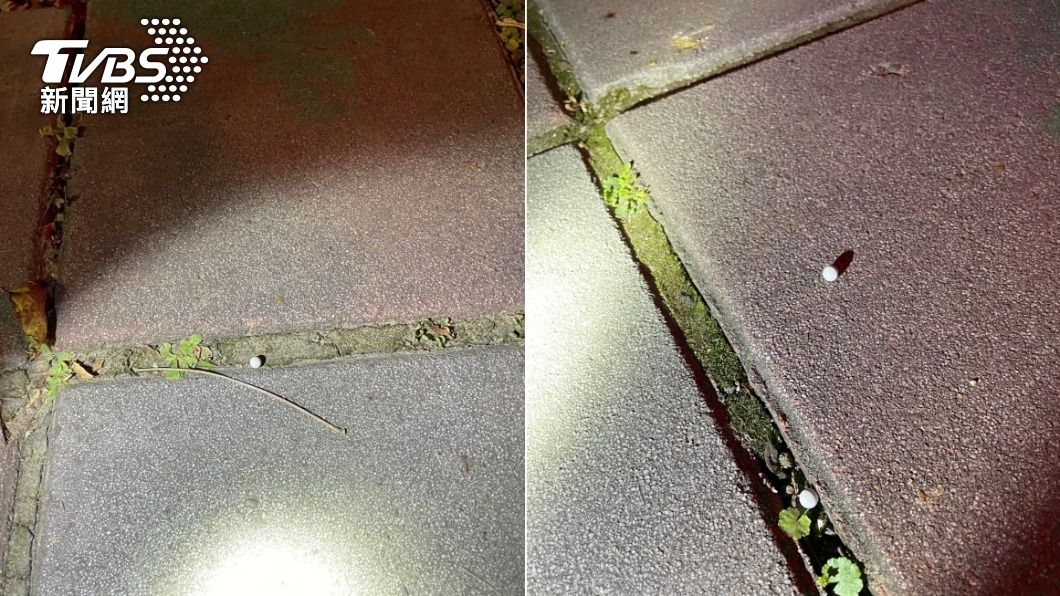 新北男暗夜持BB槍狂射路人 理由竟是「不借他200」│TVBS新聞網