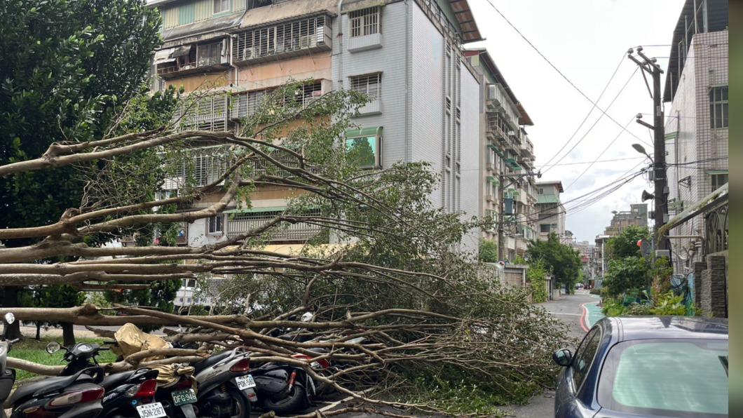快訊／「卡努」強風豪雨襲台！新店路樹倒塌 8機車慘遭砸│TVBS新聞網