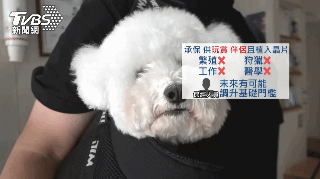 損失率200%！富邦、華南、兆豐、中信停「寵物險」│醫院│牙周治療│TVBS新聞網