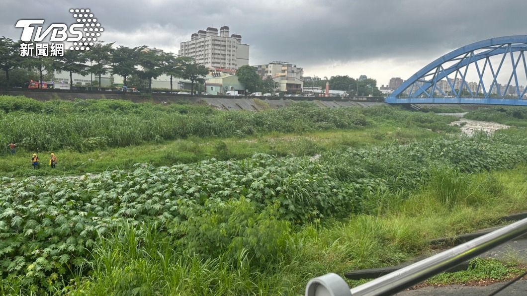 台中金母橋下驚見全裸浮屍 男發黑浮腫「死亡至少2日」│TVBS新聞網