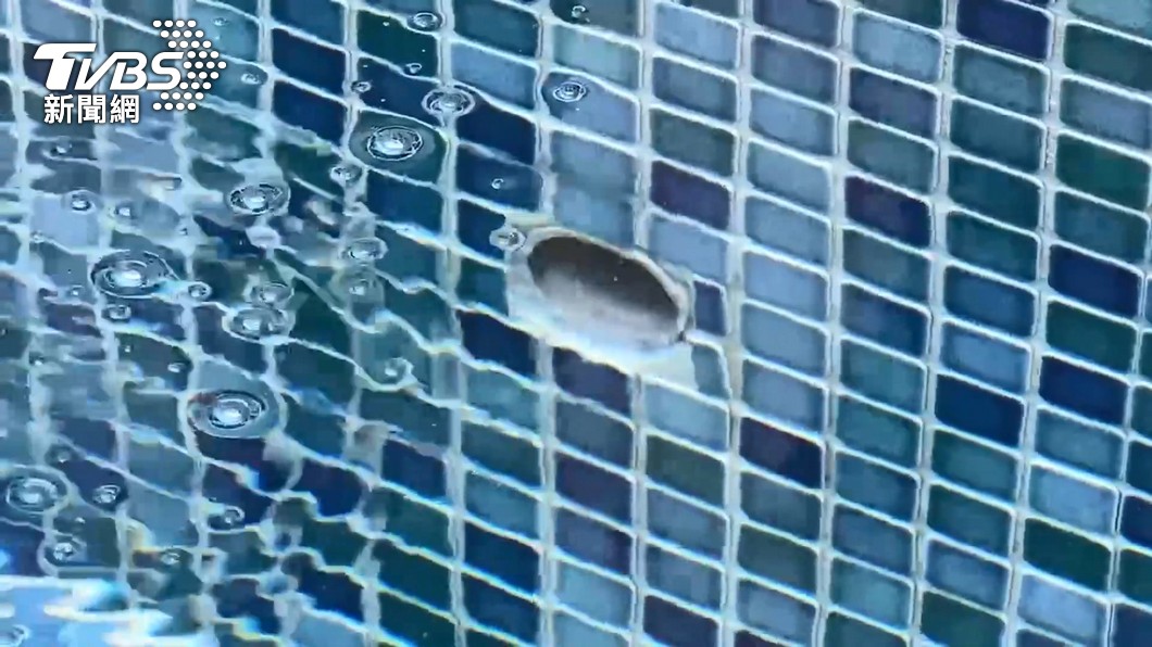 泳池好臭？玩一半孩童狂咳 家長急求救│TVBS新聞網