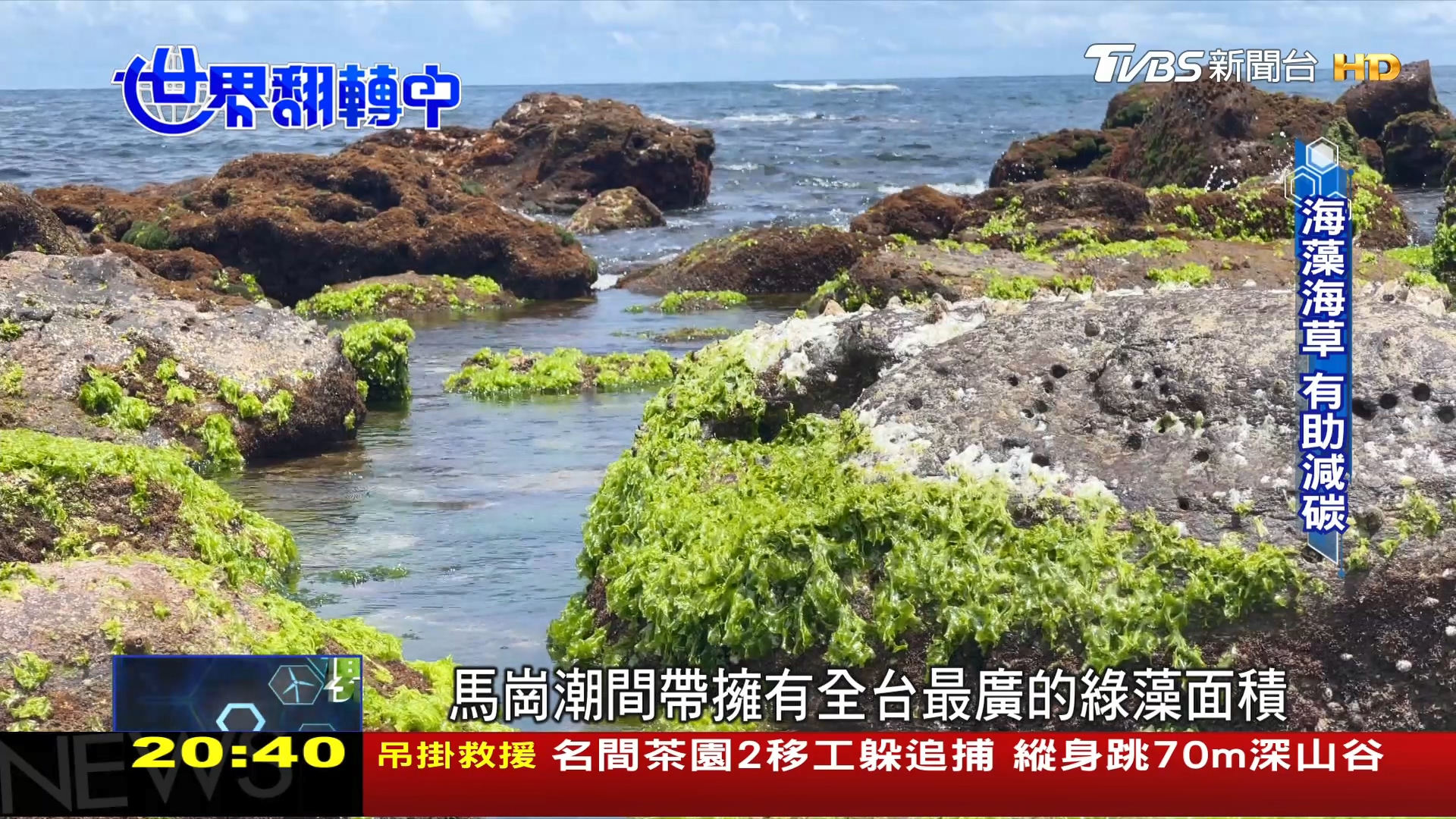 台灣減碳尖兵！紅樹林吸碳力強 等同3000座大安森林公園│TVBS新聞網