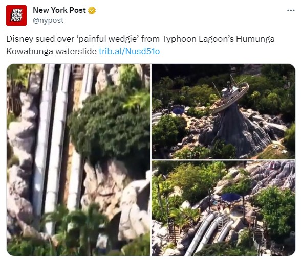 滑水道狂沖「下體秒撕裂」！泳褲卡縫內傷 她哀怨砲轟迪士尼│TVBS新聞網