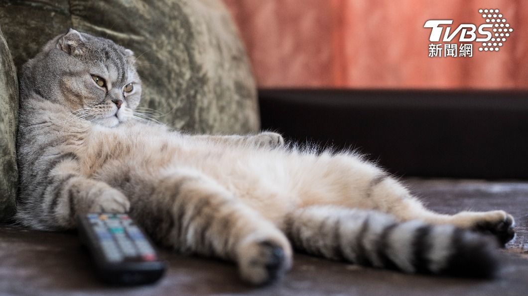 好被動！3星座從不主動告白 第一名竟是因為「懶」│TVBS新聞網