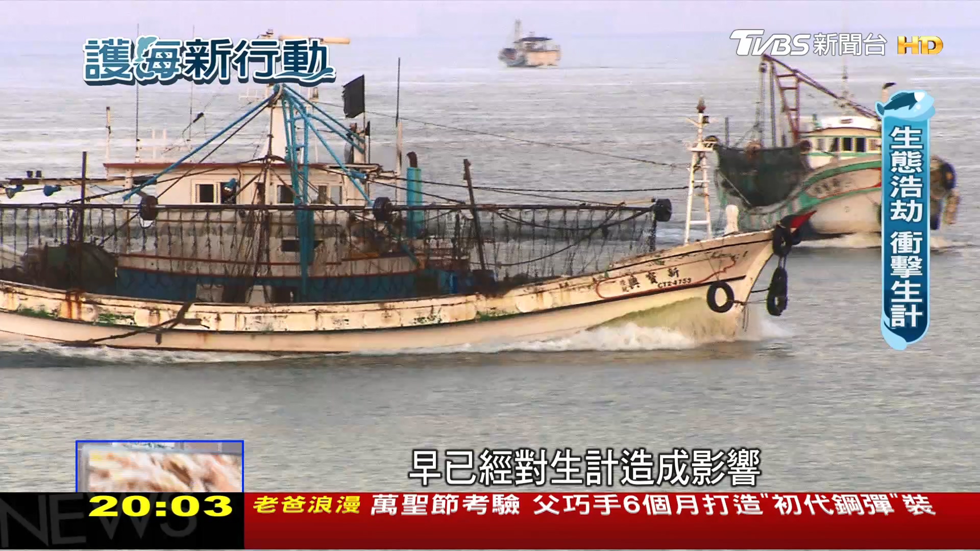 《海保法》過期三年！海洋保育淪為空談？│TVBS新聞網
