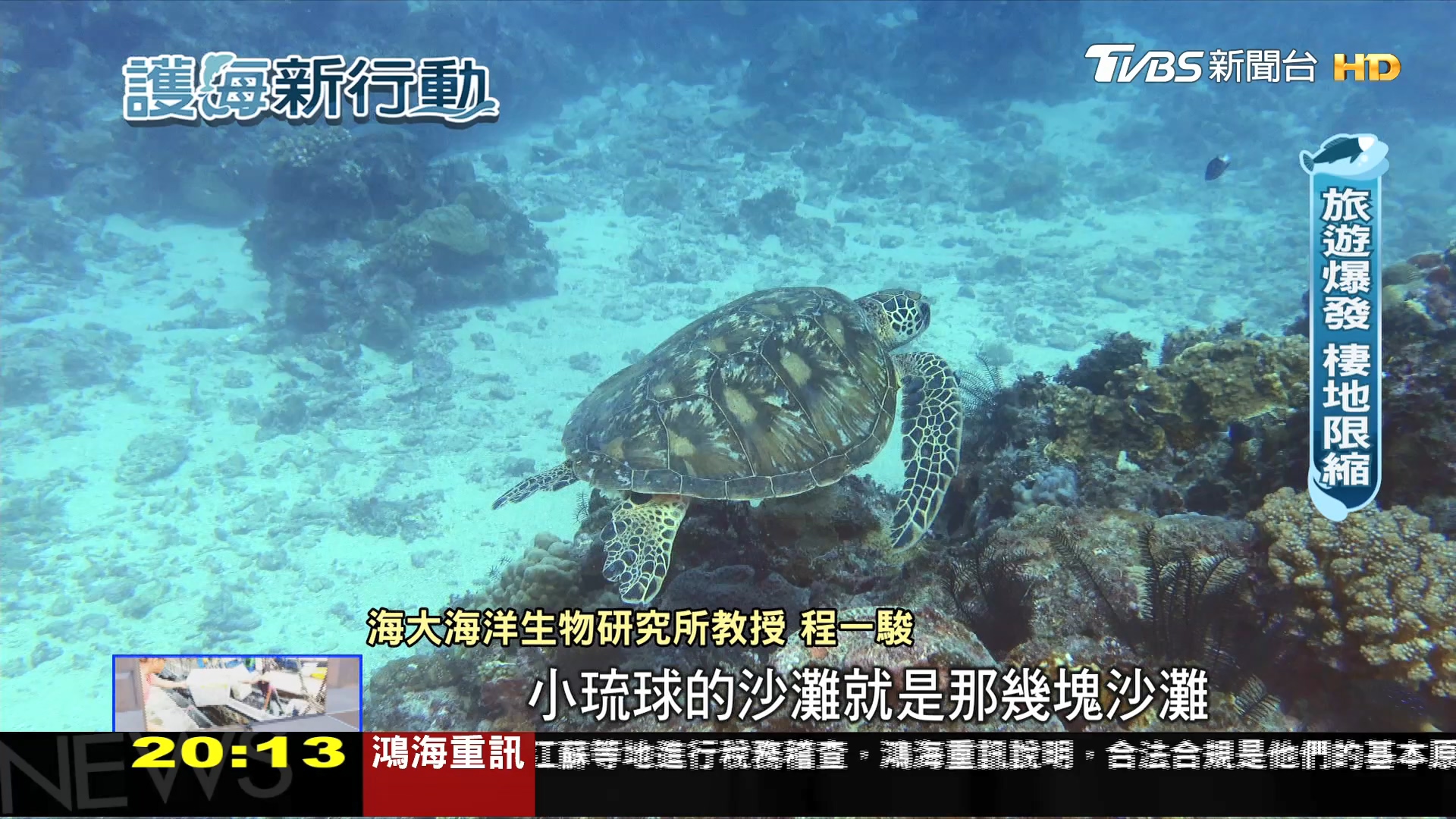 小琉球擁豐富珊瑚礁成海龜天堂！ 遊客增多恐擠壓棲地範圍？│TVBS新聞網