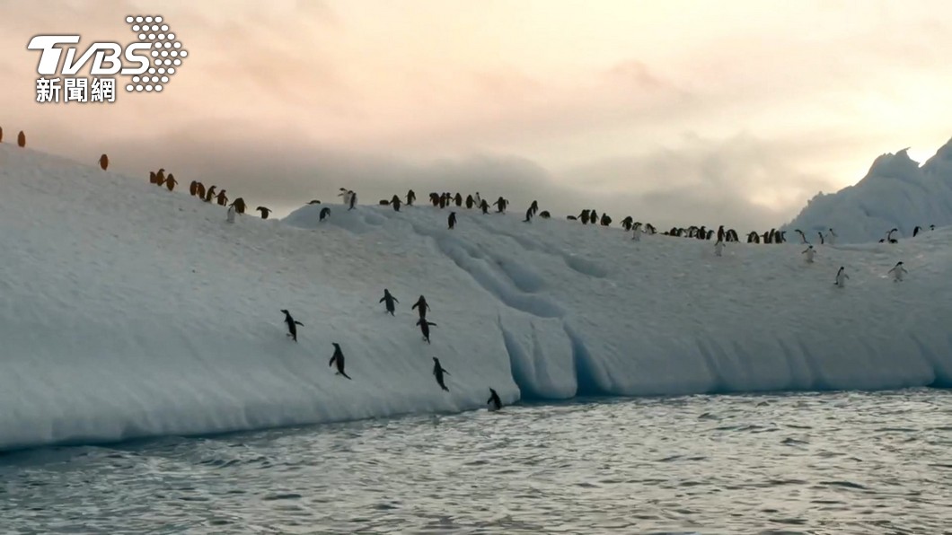 熱浪襲擊南極！ 海冰面積比2010年前減少260萬平方公里│TVBS新聞網