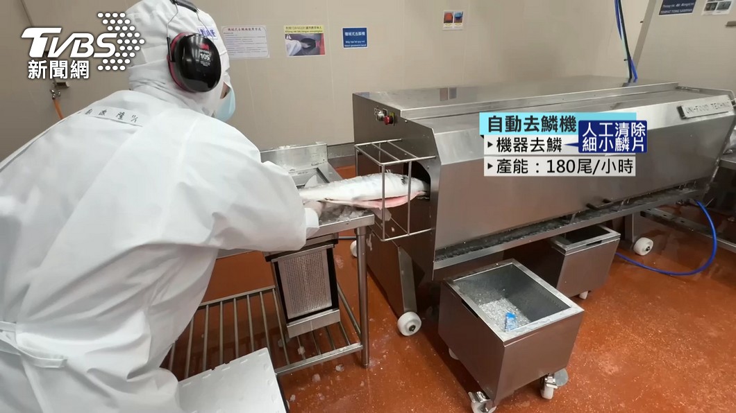 台人年吃520萬條！亞洲第二名 開箱鮭魚產線│TVBS新聞網