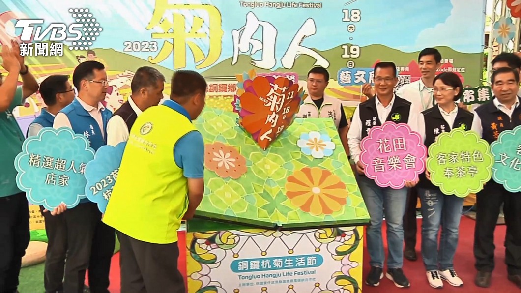 苗栗銅鑼杭菊生活節 邀請民眾到訪賞菊│TVBS新聞網