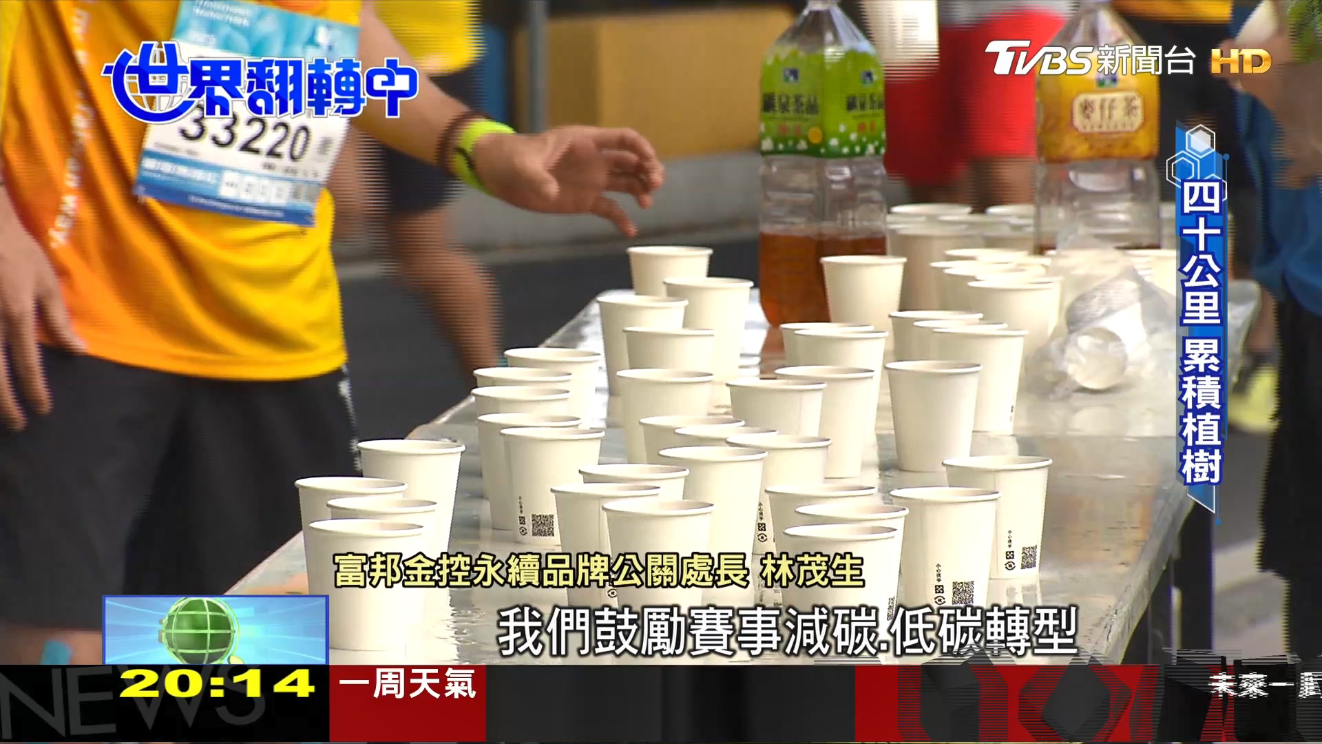 「植樹」拚台江潟湖保衛 金控8縣市目標種10萬樹│TVBS新聞網