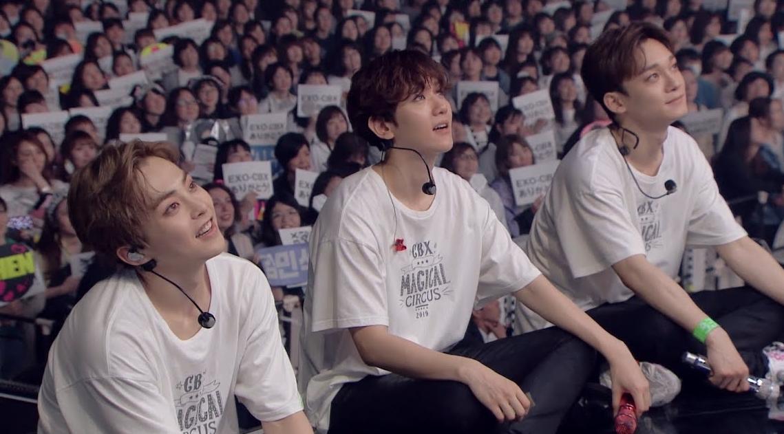 EXO伯賢當老闆了！新公司名稱曝光 韓媒驚呼：業務範圍很廣│TVBS新聞網