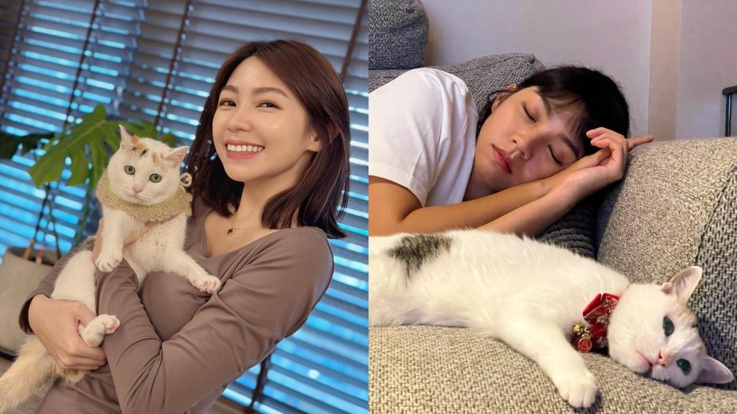 陳志強毛小孩過世！悲憶15年父女點滴 曾智希洩「健康下滑1個月」│TVBS新聞網