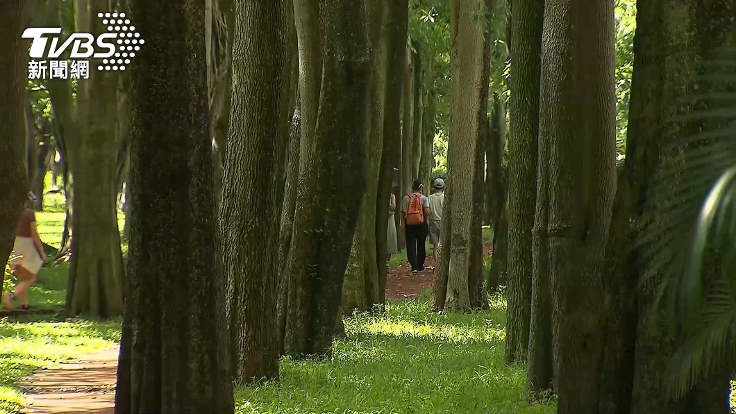 都市熱島效應加劇！北市府帶頭減碳排 目標體感降2℃│TVBS新聞網