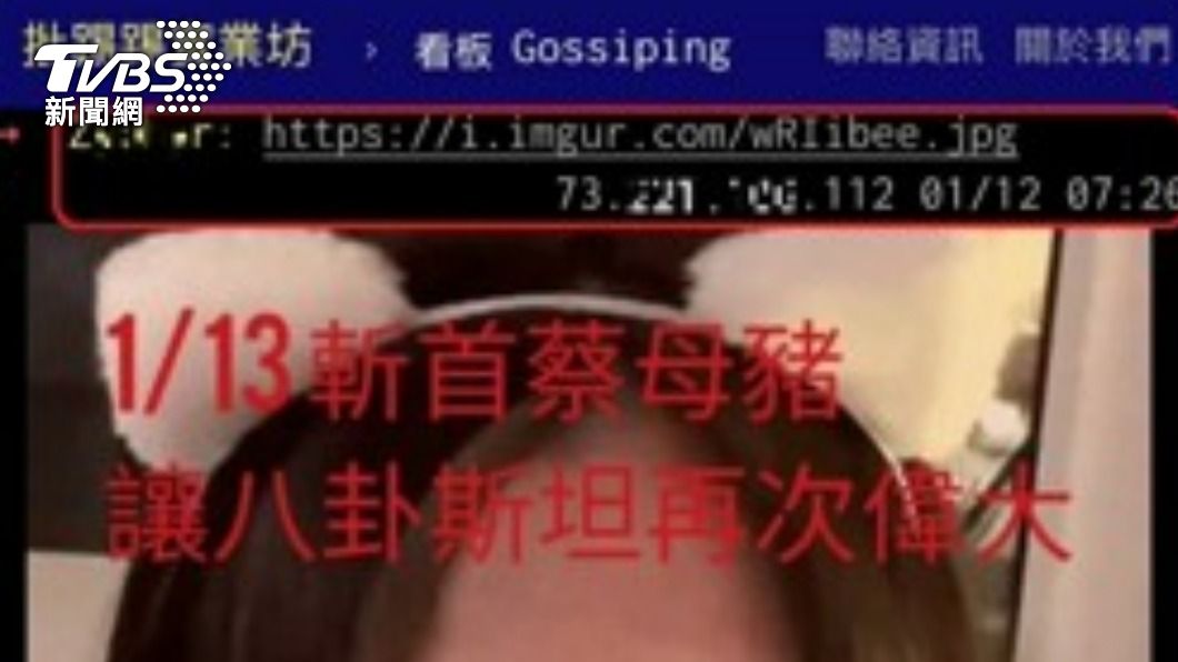 總統大選前夕PTT上發文「斬首蔡英文」 資工高材生落網│TVBS新聞網