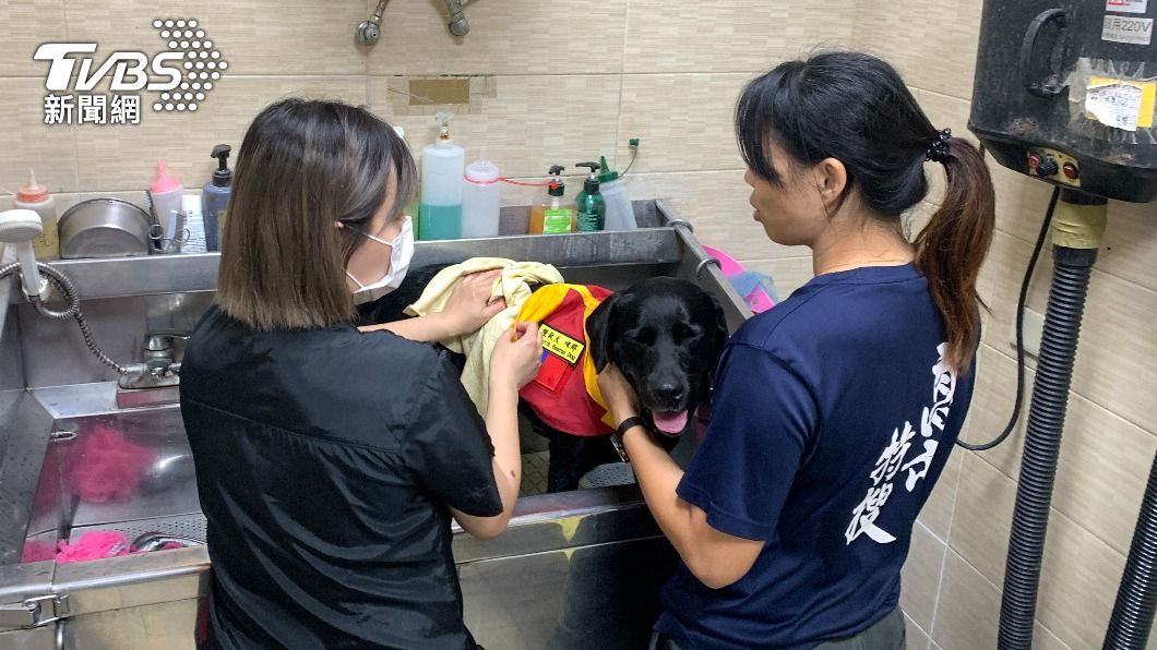犒賞高雄汪汪搜救隊 Roger不咬mic改咬玩具爽做SPA萌樣曝│TVBS新聞網