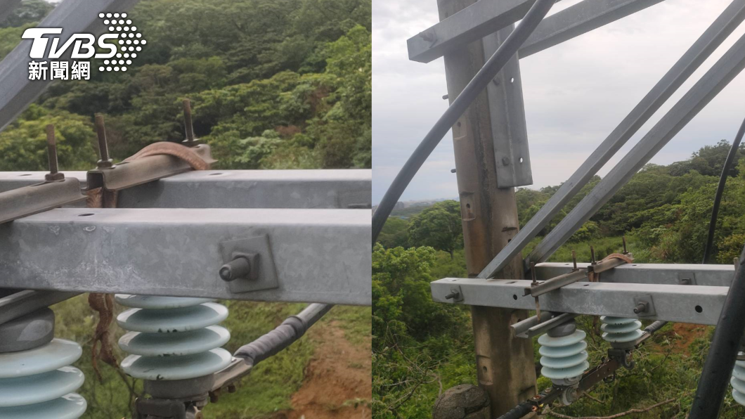 又是桃園！「蛇攀高壓電＋風雨樹倒」停電 4690戶受影響│TVBS新聞網