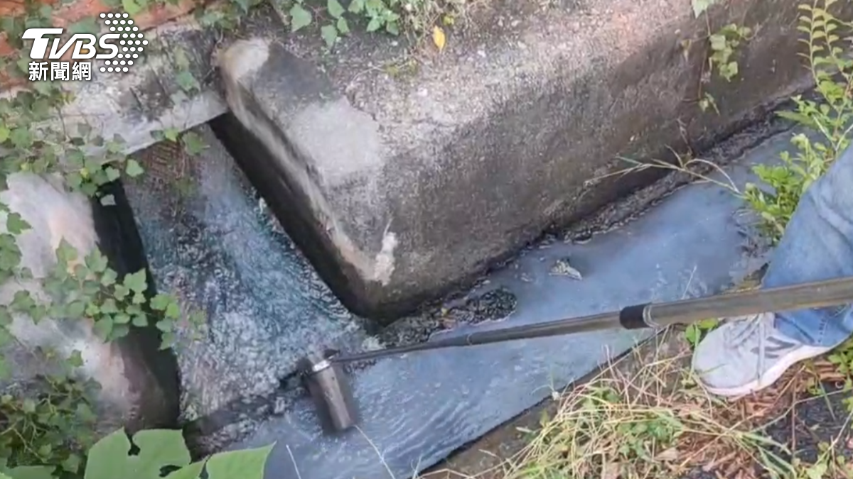被熱死？高雄鳳山溪飄惡臭 1570kg魚屍「翻肚浮出」環保局出手了│TVBS新聞網