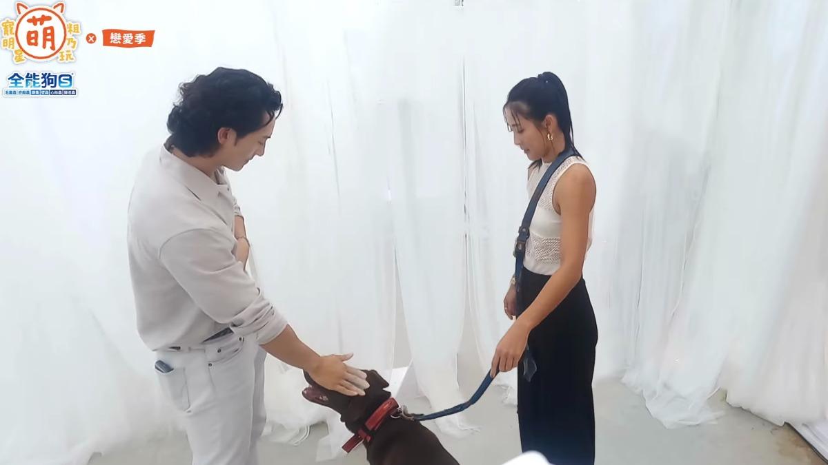 吳姍儒驚嘆《萌寵》像大型4D交友軟體 網友暴動敲碗看不夠 │TVBS新聞網