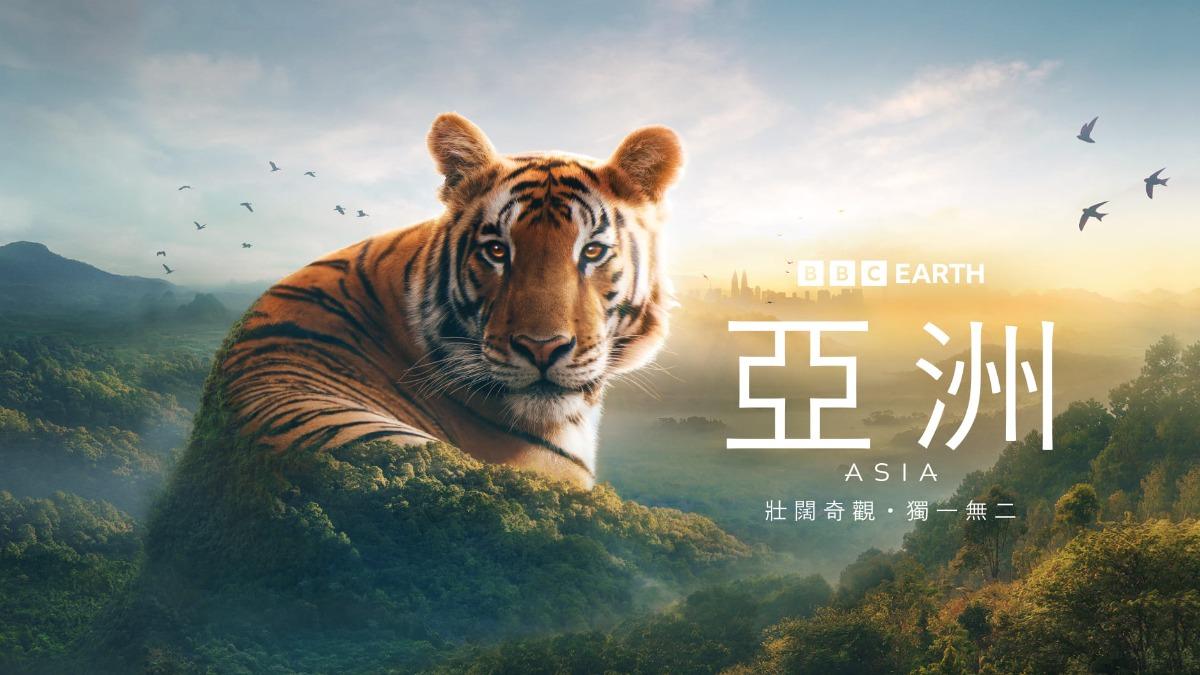 BBC Earth年度鉅獻《亞洲》台灣取景！ 韓團SEVENTEEN獻聲│TVBS新聞網