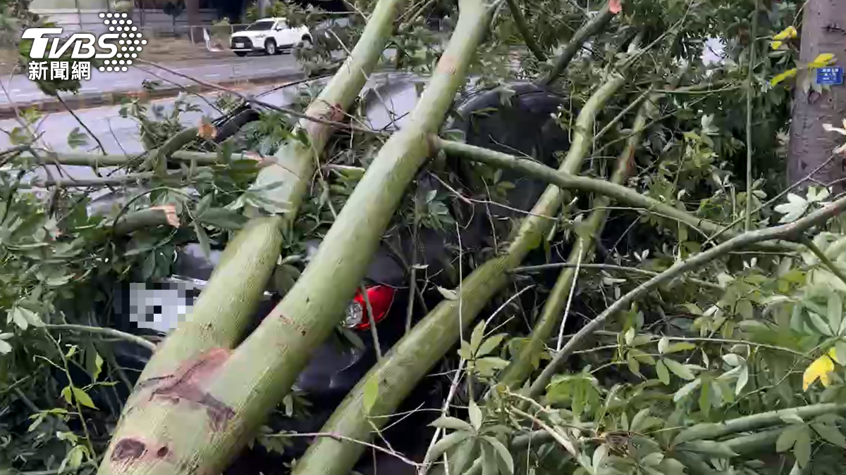 康芮颱風災情》康芮襲台釀2死580傷，內湖騎士遭電桿砸中亡│TVBS新聞網