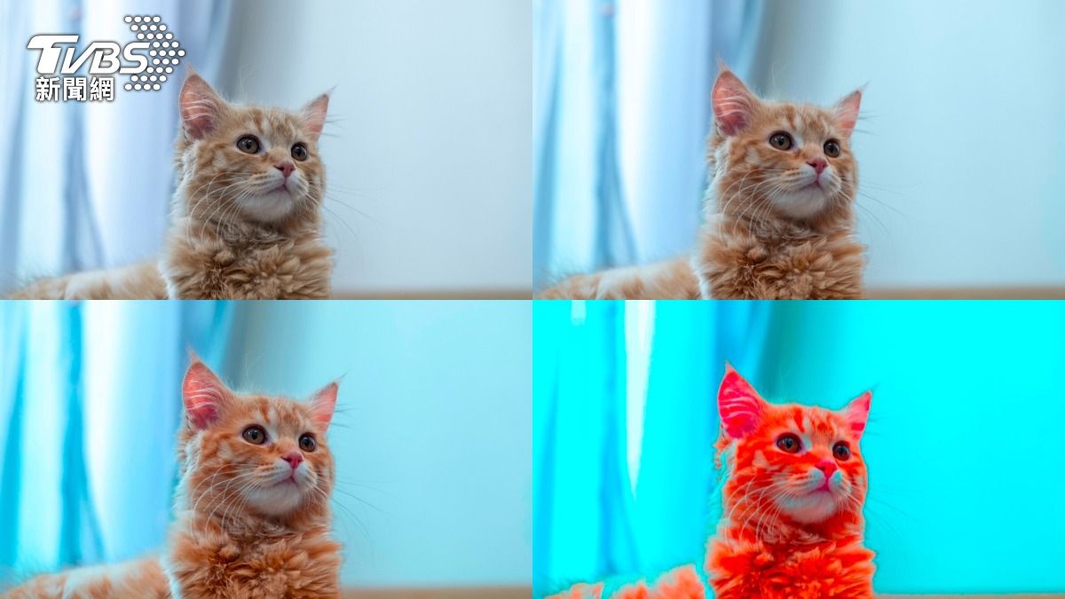 iOS 18.2新bug？果粉控「截圖飽和度變高」 實測驚人結果曝│TVBS新聞網