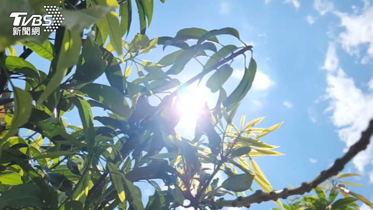 2024年創史上最熱！ 台灣年平均溫「24.97度」│TVBS新聞網