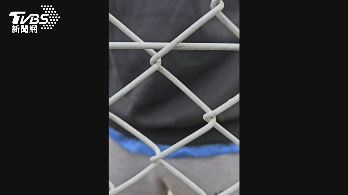 楊梅火燒車4死！副駕妻「40%燒燙傷」躺ICU 弟悲吐傷勢│TVBS新聞網