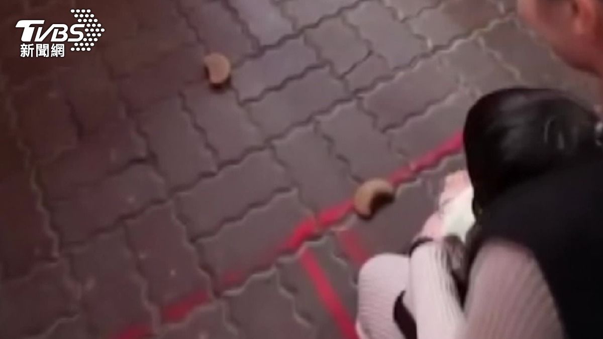 一歲女童立大功 分別贏得金媽祖、iPhone 16│TVBS新聞網