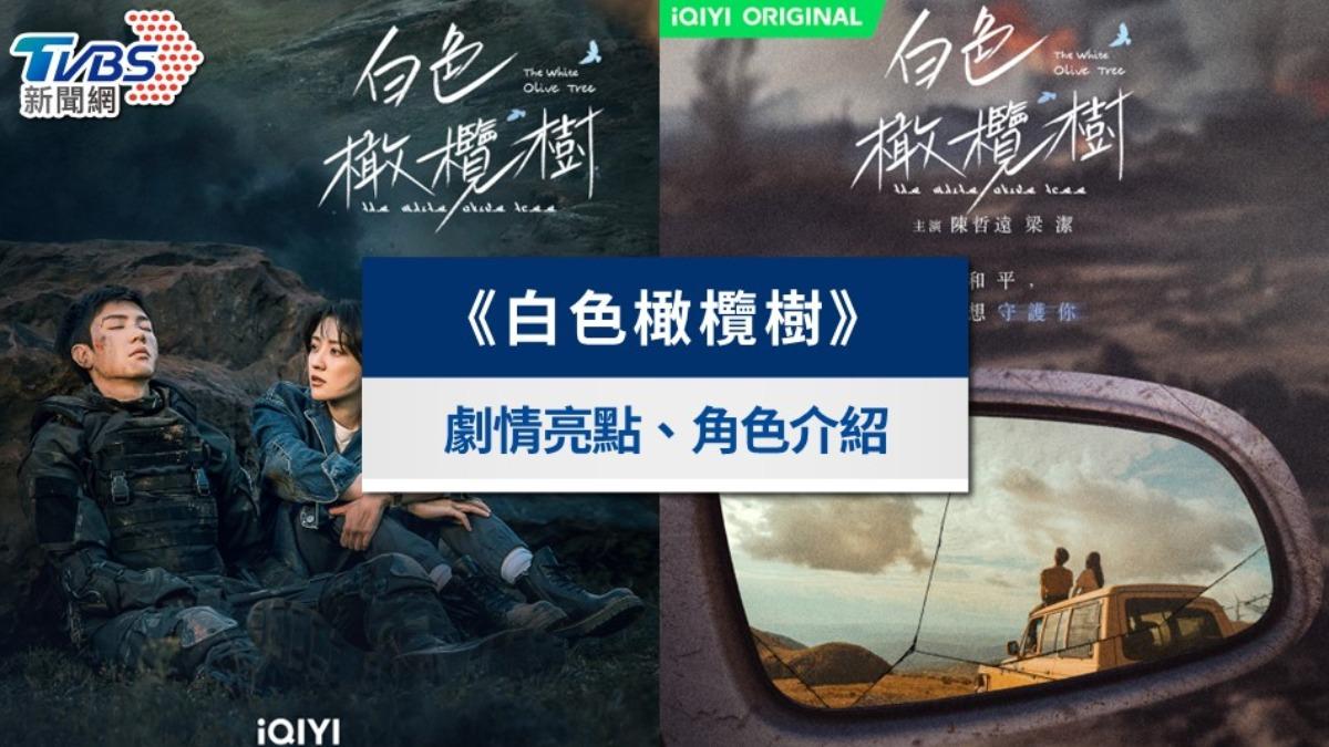 《白色橄欖樹》線上看！劇情亮點、播出時間、演員陣容一次看│TVBS新聞網