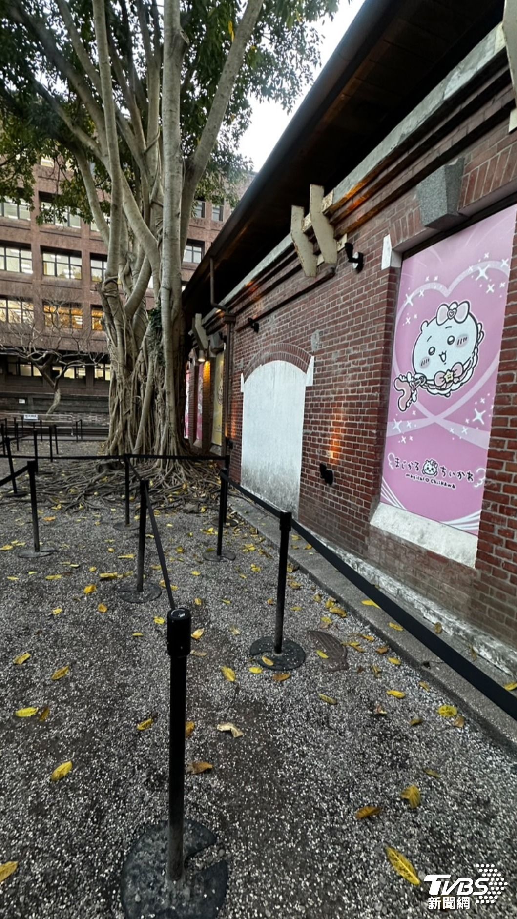 吉伊卡哇快閃店台北｜時間地點、商品價格及線上整理券預約教學│TVBS新聞網