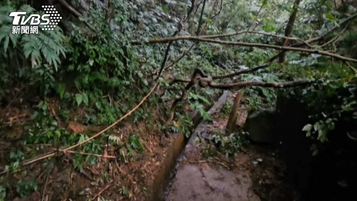 基隆工人清山溝「挖到人骨」嚇壞 疑為7年前失蹤老翁│TVBS新聞網