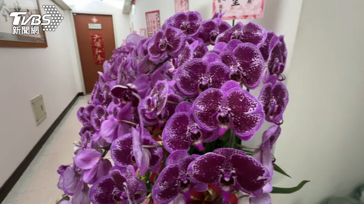 哭窮？ 多行政部門賀任召委 送3千起花籃│TVBS新聞網