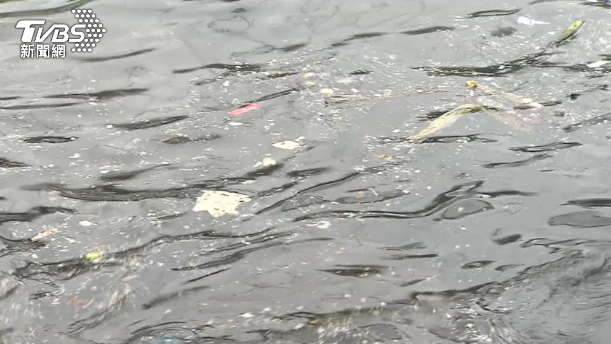 流入海洋的「微塑膠」比PM2.5還可怕！正入侵食物鏈危害人類健康 │TVBS新聞網