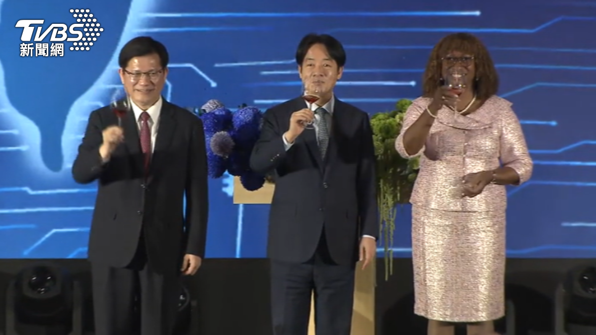 駐台使節關切「台灣凝聚力模糊」 外交部駁美媒稱龍向AIT「抱怨」│TVBS新聞網