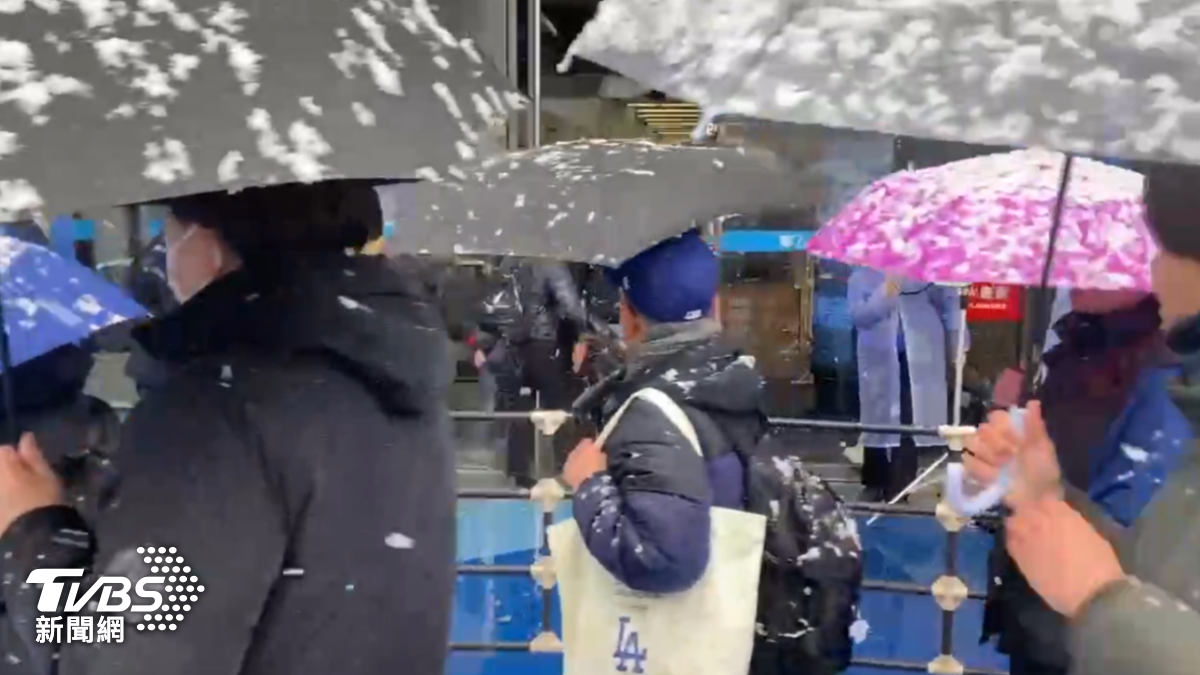 赴日注意！東京罕下3月雪「發布大雪警報」 部分JR列車停駛│TVBS新聞網