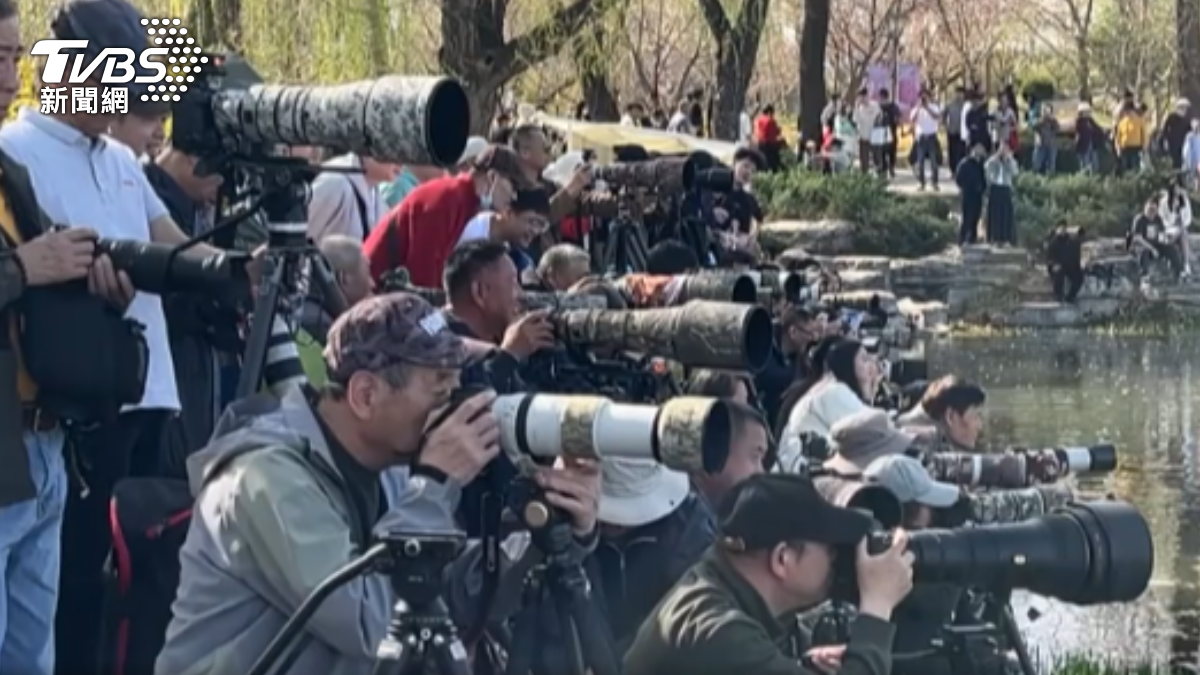 相機一台45萬起跳 北京大爺砸錢拍鳥買「長槍大砲」│TVBS新聞網