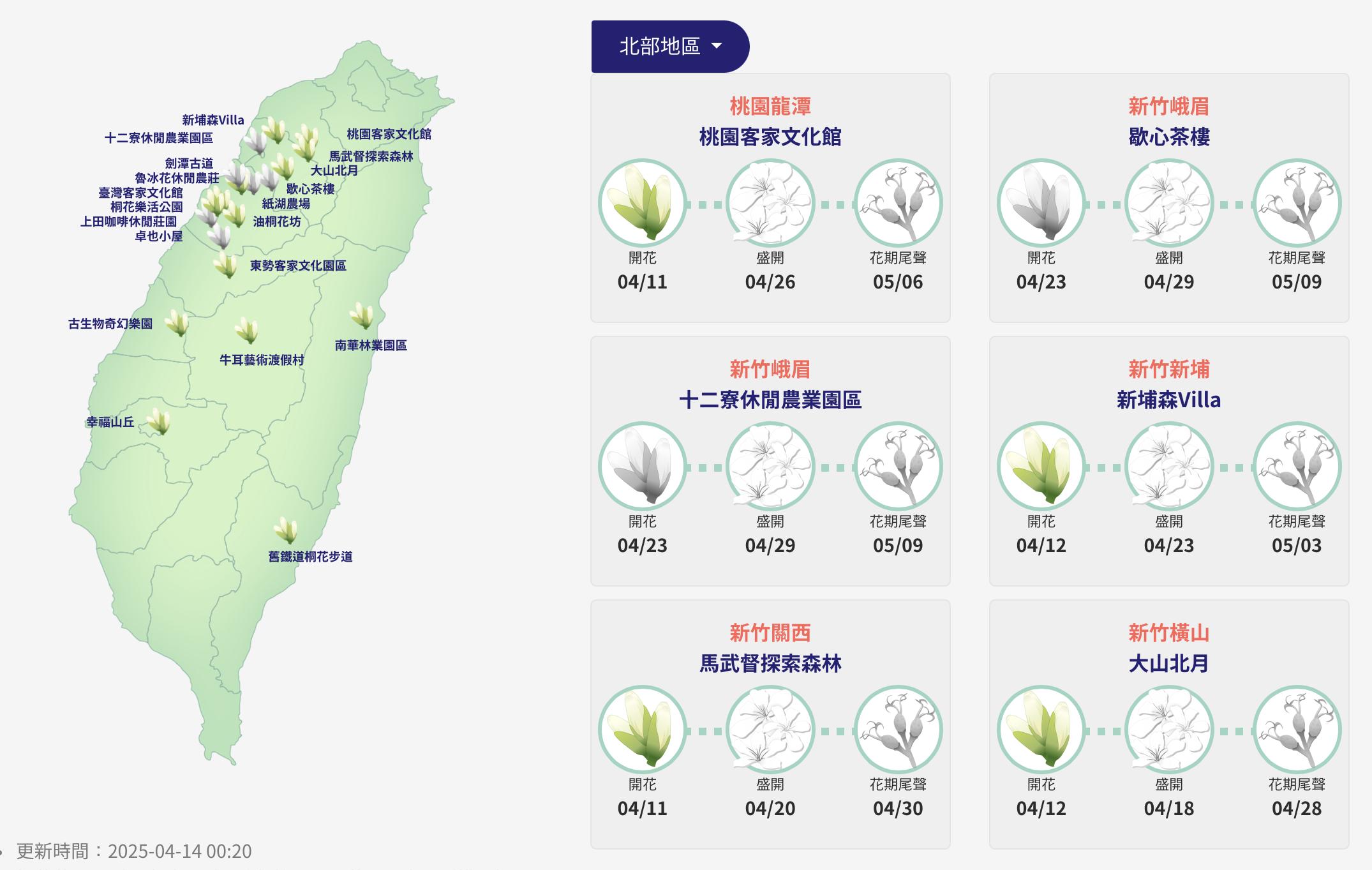 2025桐花季攻略》油桐花幾月開？即時花況、賞桐景點活動總整理│TVBS新聞網