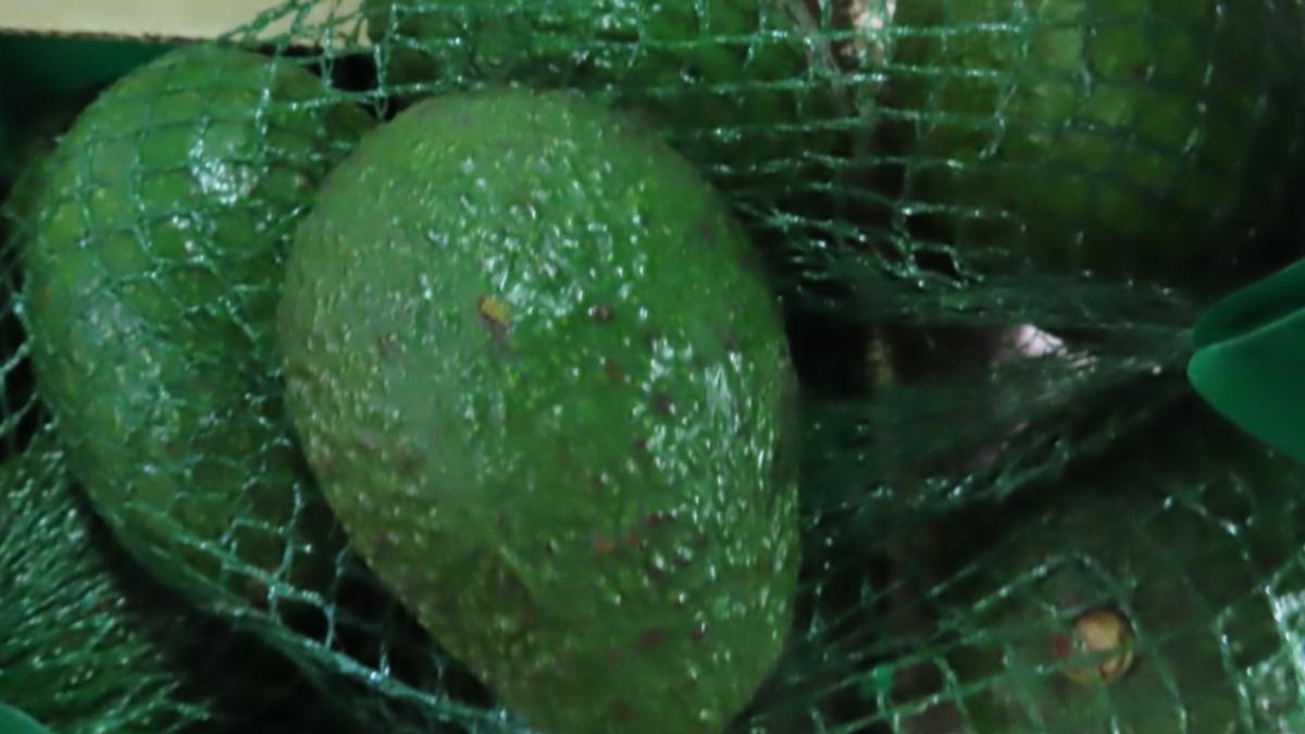 逾3500公斤酪梨「重金屬超標」！全來自美國 食藥署邊境攔截│TVBS新聞網